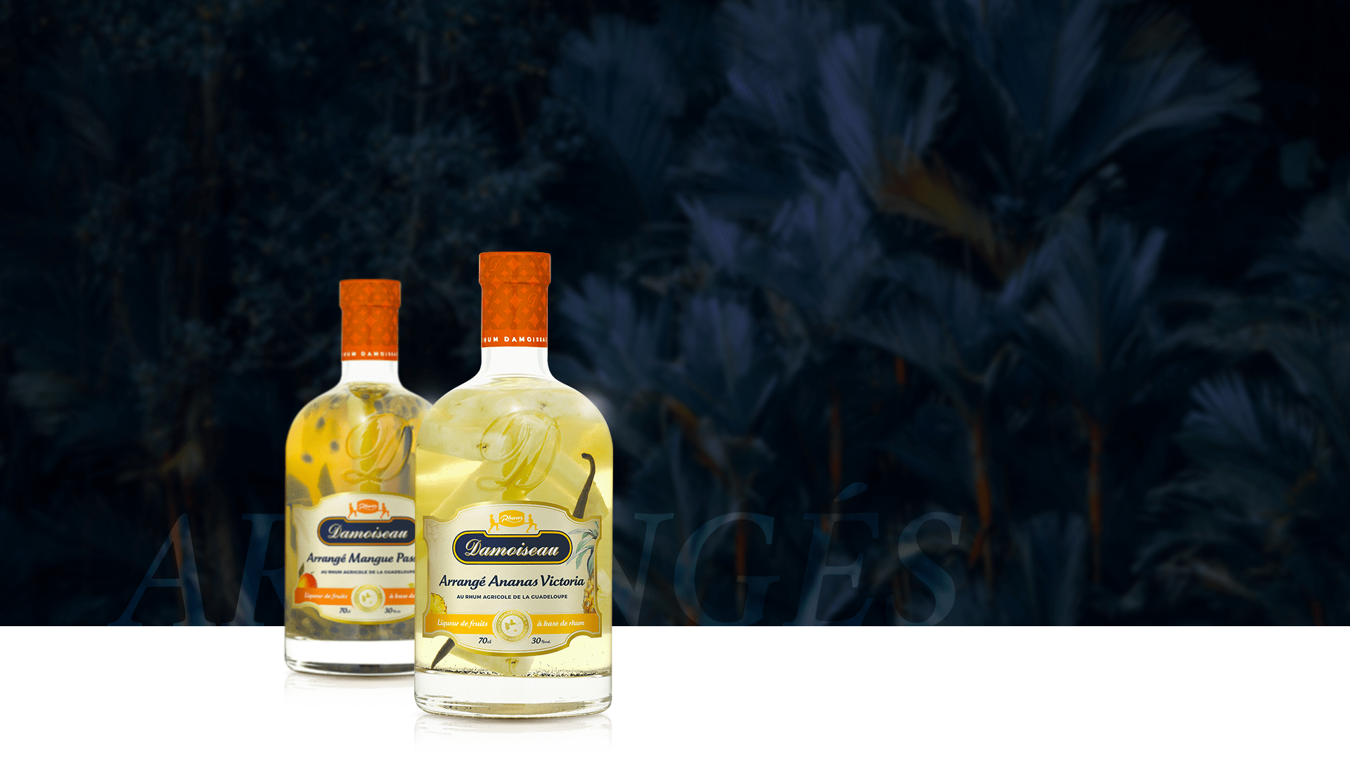 Accueil - Les Rhums Damoiseau